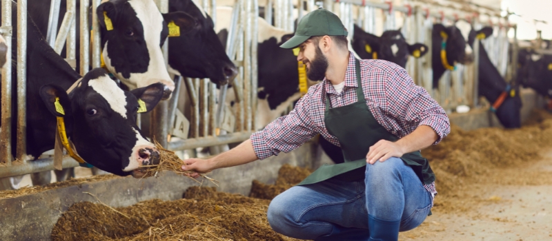 FHCP statement on Canada’s Workforce Solutions Road Map